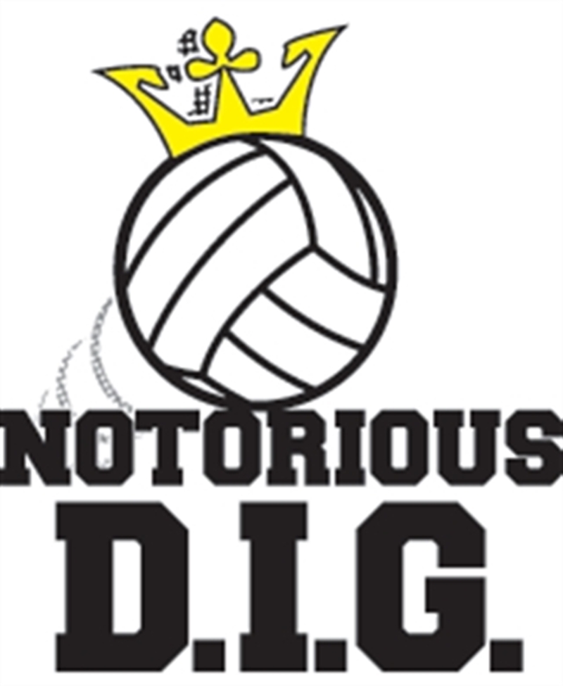 Notorious D.I.G.