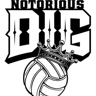 Notorious D.I.G